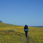 Book A Shuttle – Lost Coast Adventure Tours